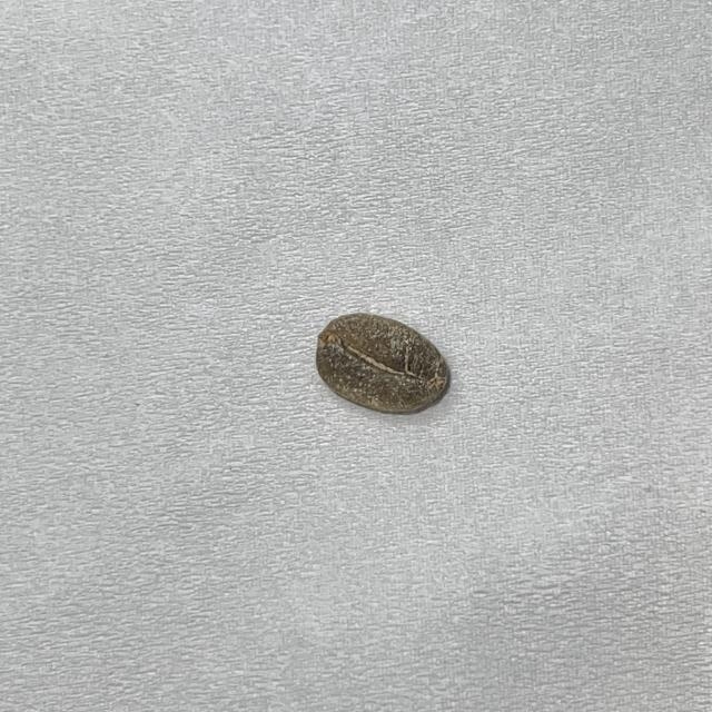 coffee-bean-defect-result-test Object Detection Dataset by niacubilla