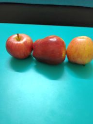 Fruits Object Detection Model by Kanyamas