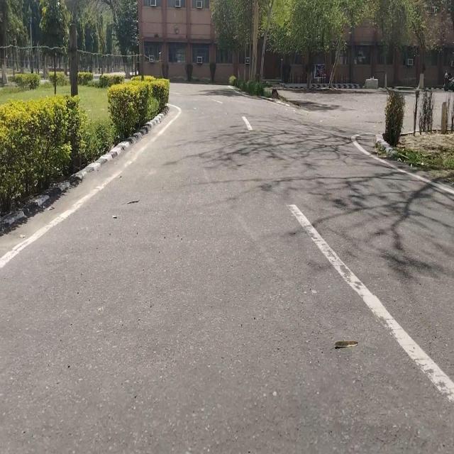 roads Instance Segmentation Model by slietrover1