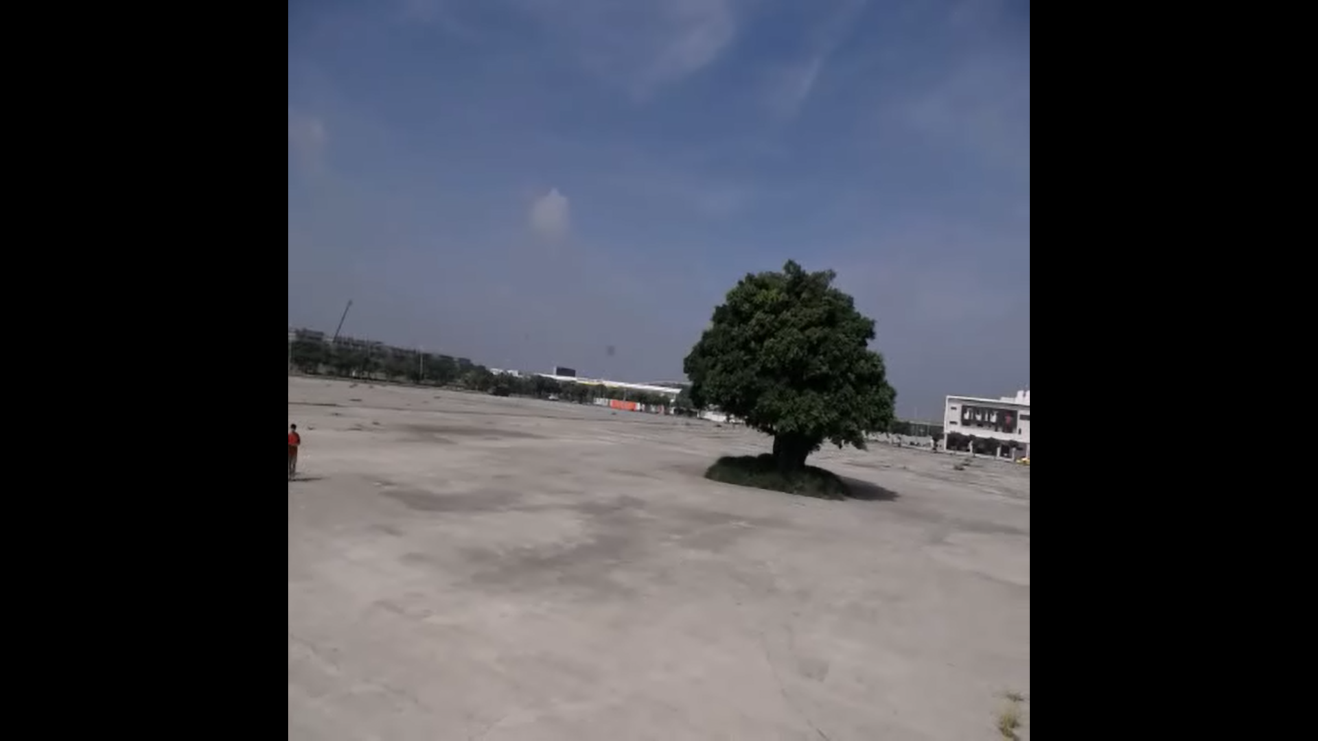 TREE Object Detection Dataset by YOLO