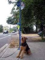 machine learning (machine-learning-nvc5b) - Roboflow Universe