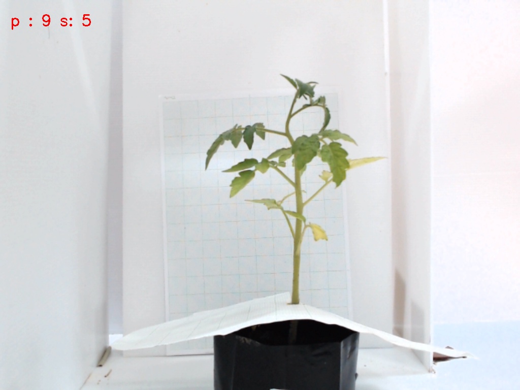 plant Object Detection Model by plant