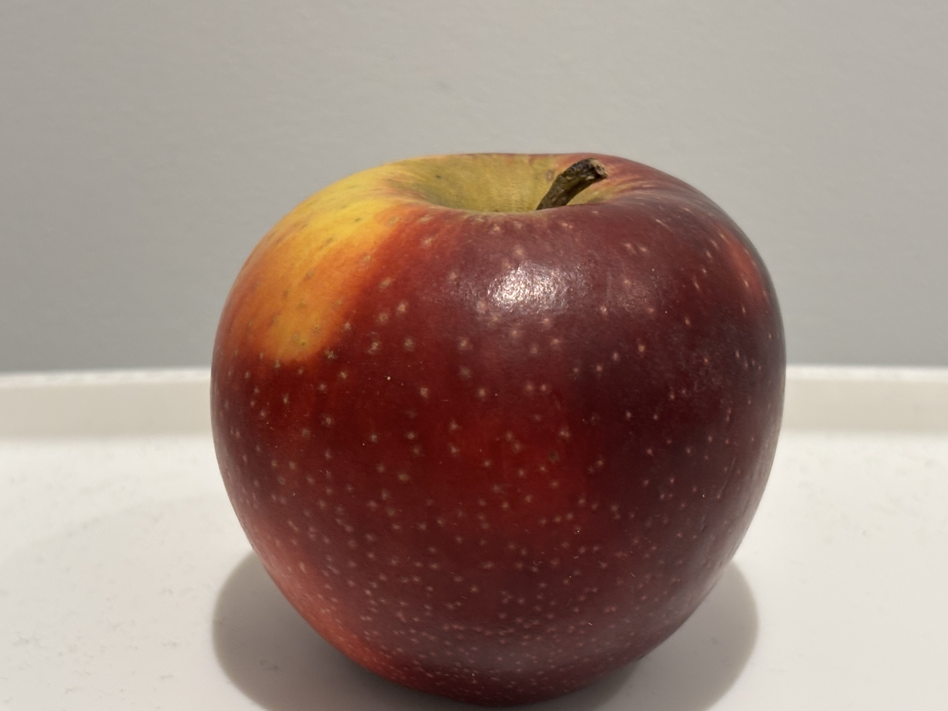 Segmentation Apple Semantic Segmentation Model by ECE4078 B5
