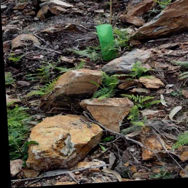 forestsv2 Object Detection Model by forest