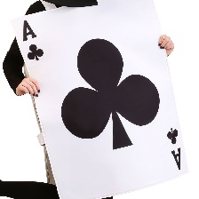 Playing Cards Classification Model by Shaneel Chanderpaul