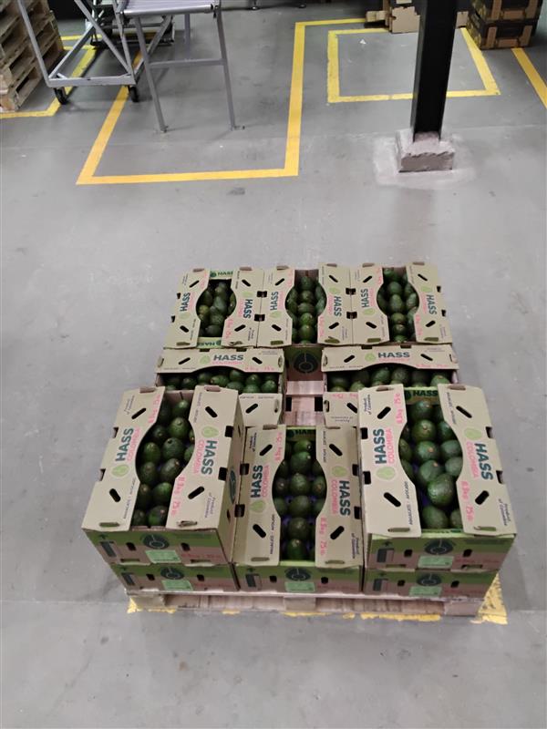 How to Use the Conteo de cajas parte superior Instance Segmentation API