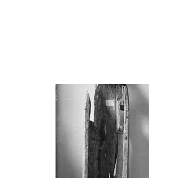 Embedded Object Detection Dataset And Pre Trained Model By Yolo