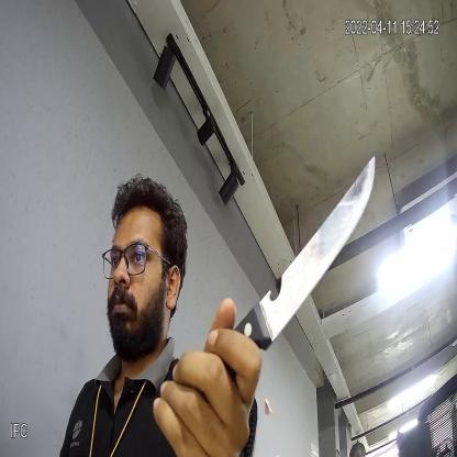 v2 Object Detection Dataset by nik