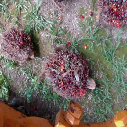 muye - Roboflow Universe