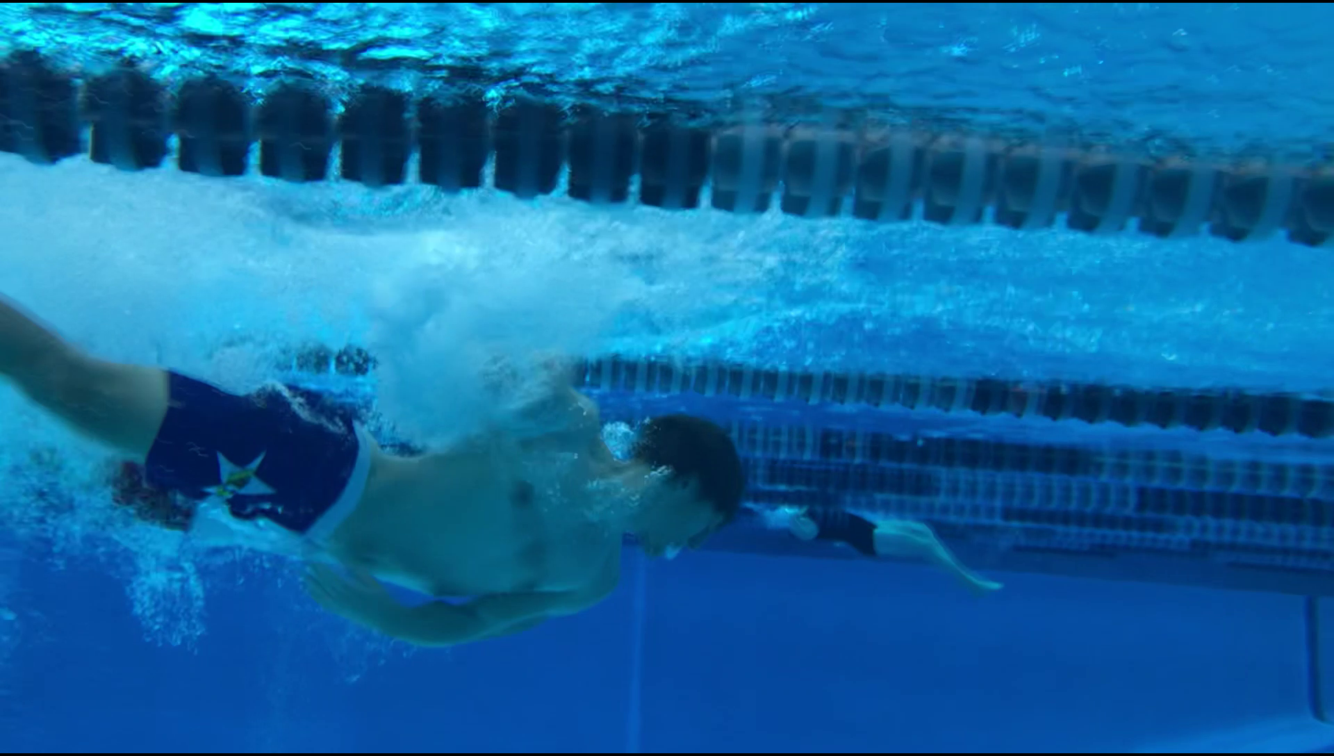 swim_visualization Object Detection Model by Morrieg