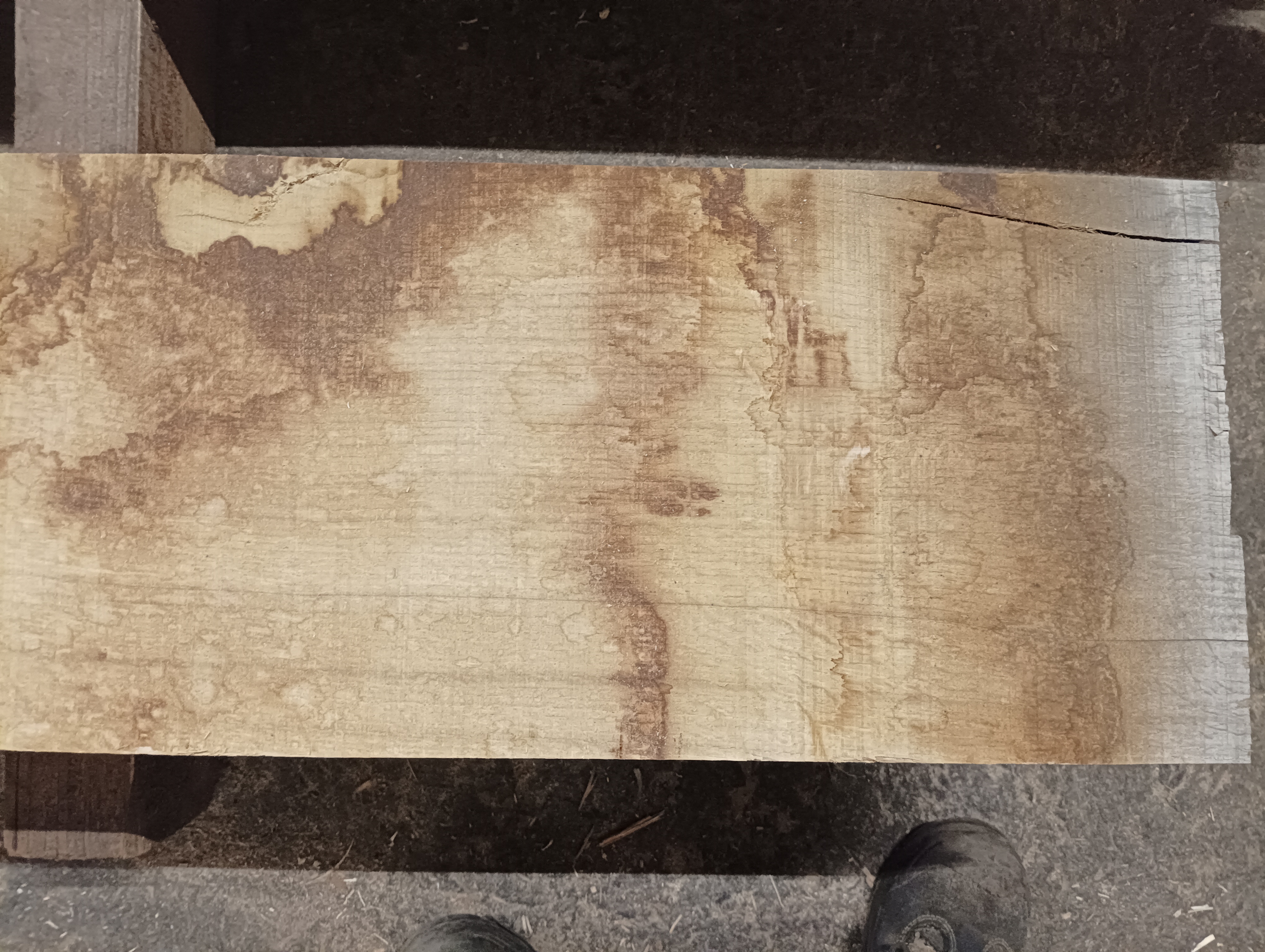 Wood Defect Dataset Object Detection Dataset by Wood Defects detection ...
