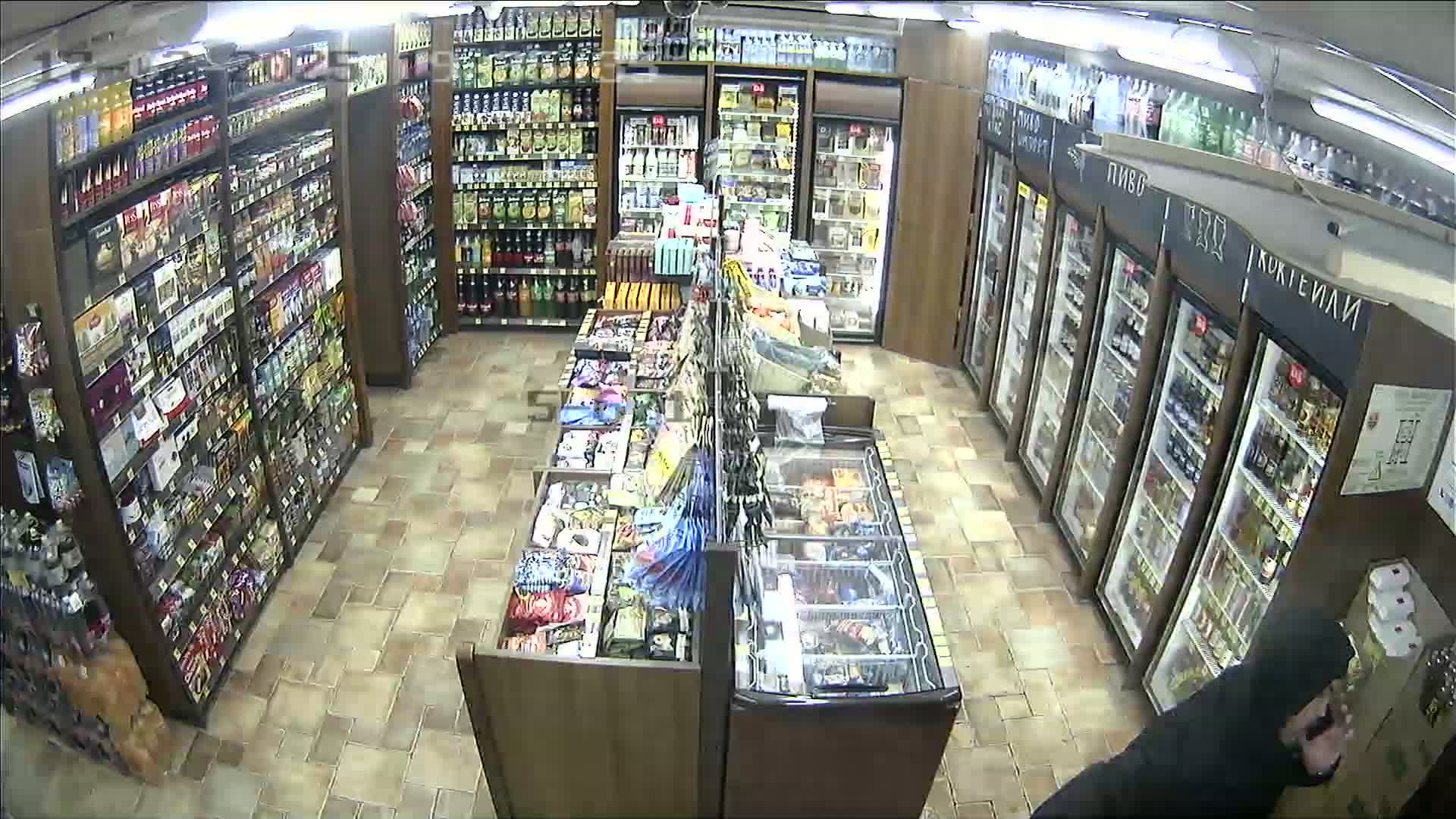 Zavali Instance Segmentation Dataset by OverSides