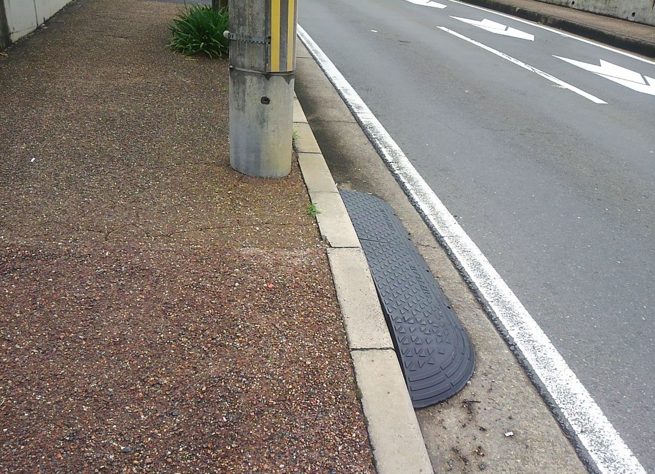 AI rab - Roboflow Universe