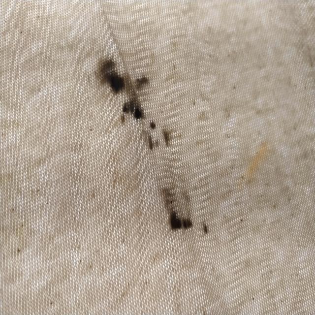 Striped Object Detection Dataset And Pre Trained Model By Walailak