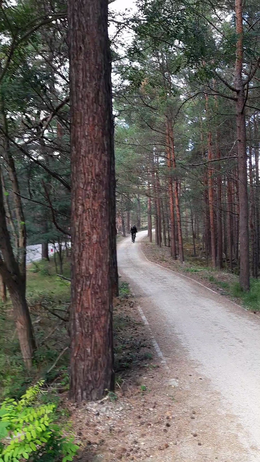 cyclist Object Detection Dataset by hamzawork