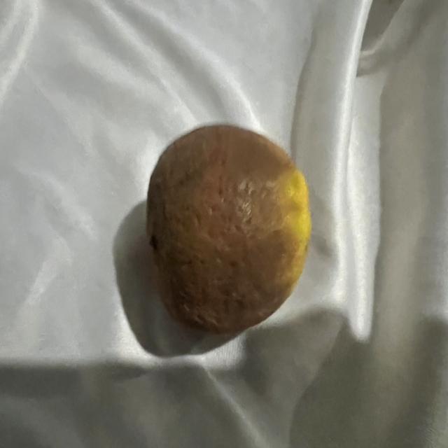 Biomedical_waste_classification Object Detection Dataset by Garbage