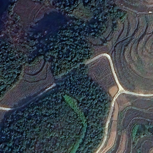 road_sam2 Instance Segmentation Dataset by Pytran