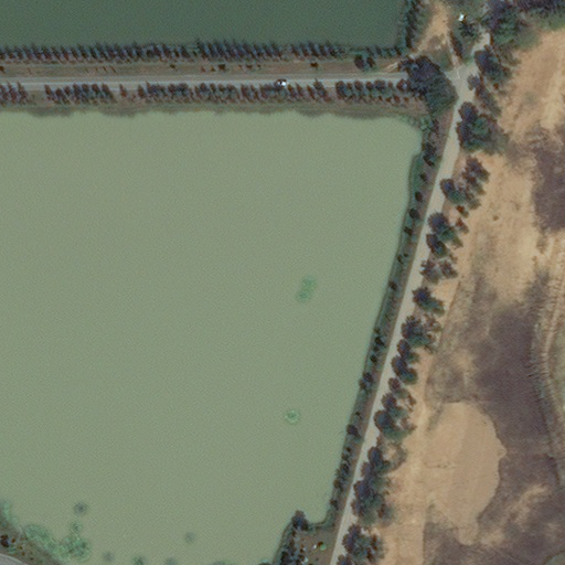 deep_road Instance Segmentation Dataset by Pytran