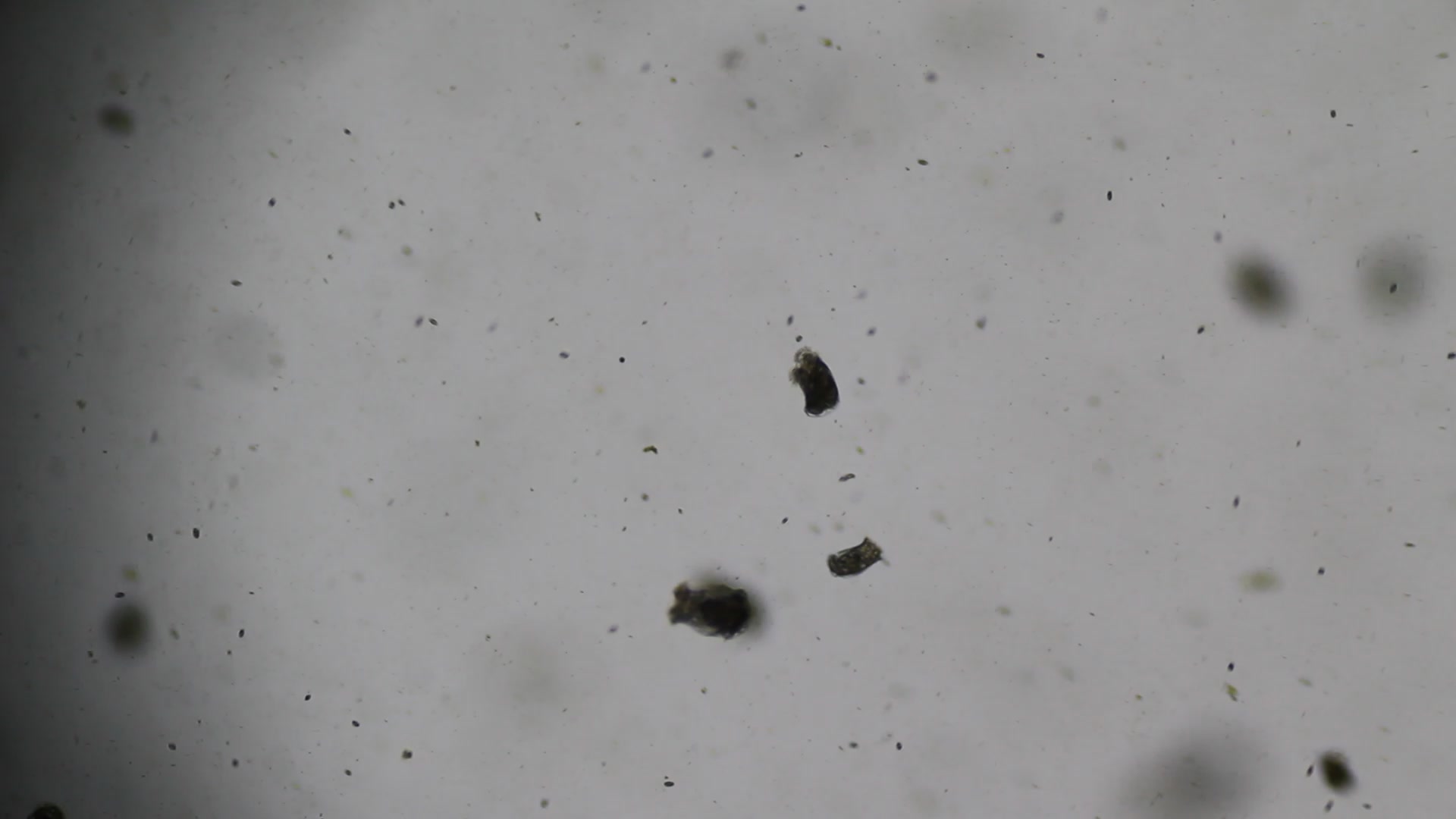 R#1 Object Detection Dataset by ROT1