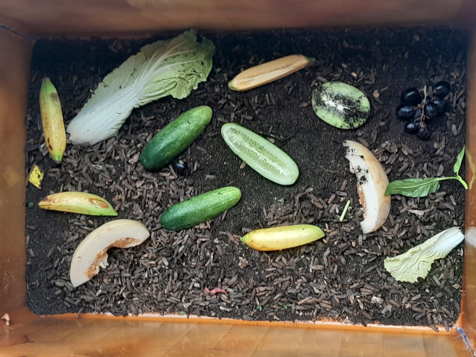 ml umy - Roboflow Universe