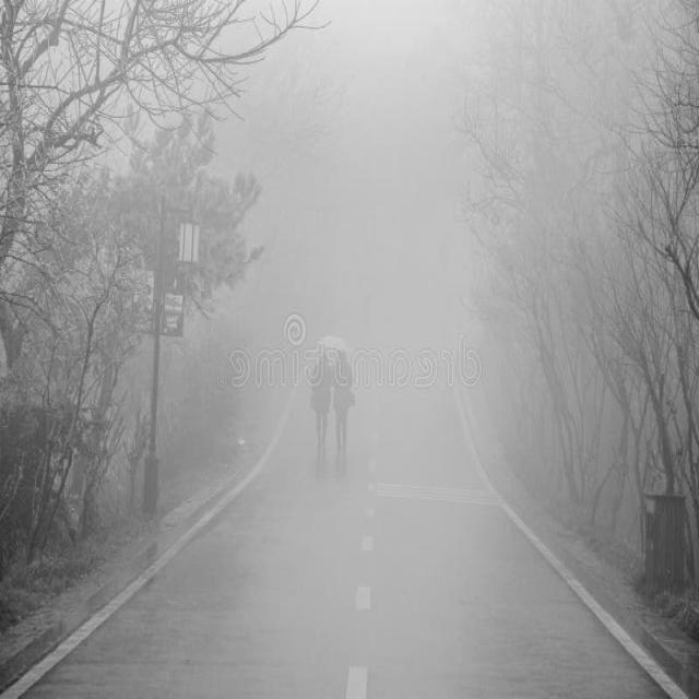 fog-for-yolov8-v1 Object Detection Dataset by YoloV7