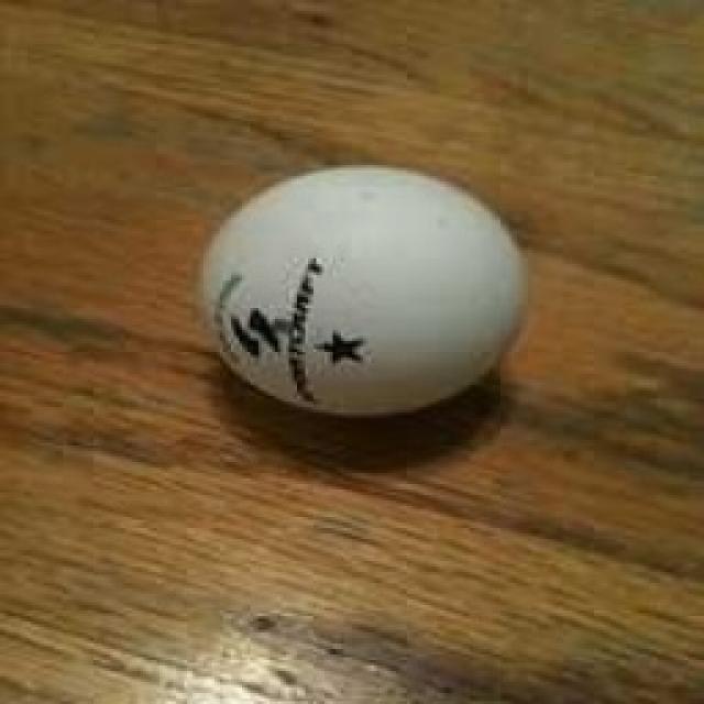 Pingpong Instance Segmentation Dataset By Pingpongdetection