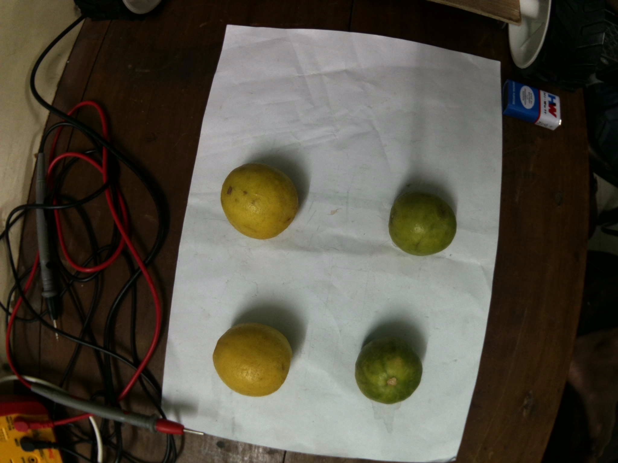 ll Object Detection Dataset by lemon