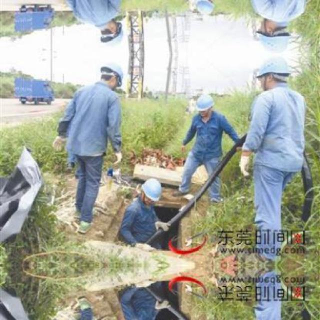 evaluation_annotation_quality_ Object Detection Dataset by PhazeRo