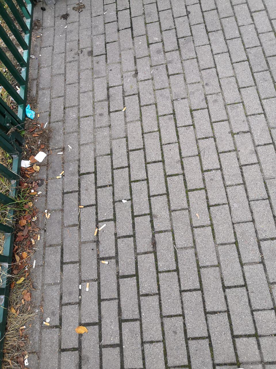 How to Use the drone Object Detection API