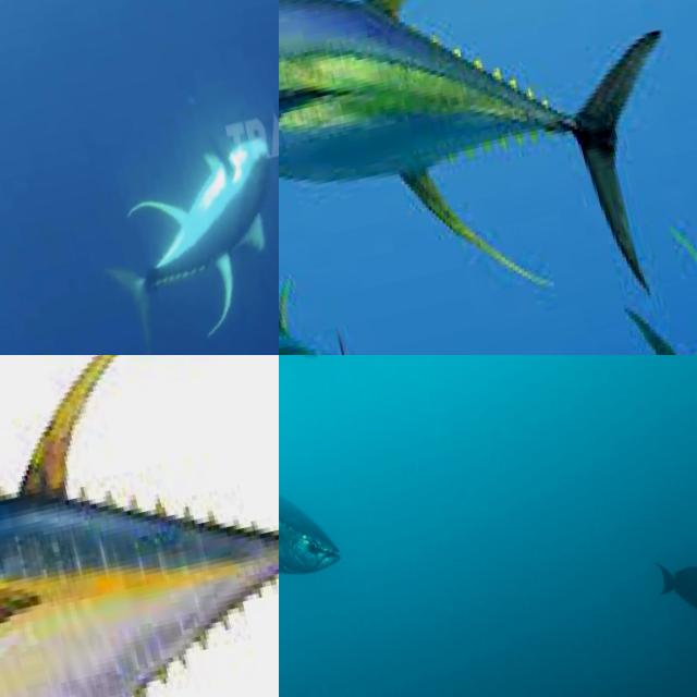 red tuna Object Detection Model by weeds sea