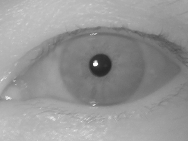 iris Segmentation Instance Segmentation Dataset by Learning