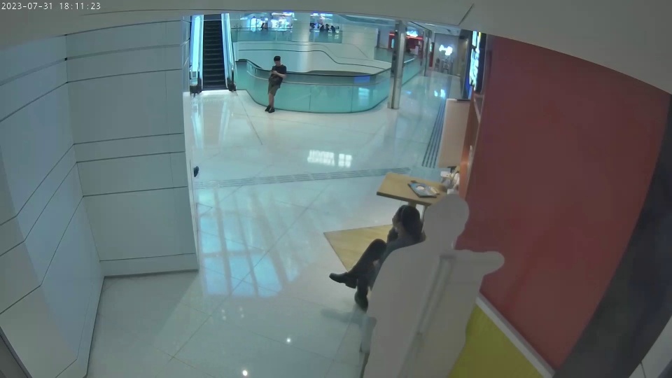 mouse Object Detection Dataset by Serena Fan