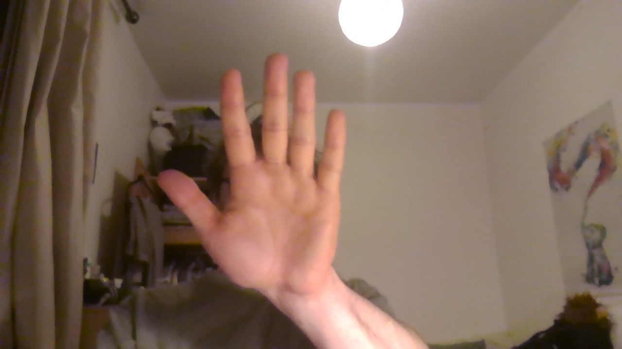 Hand Detection Object Detection Model By Final Year Project