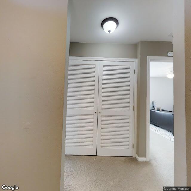 dead_trees_v1 Object Detection Dataset by Jones001