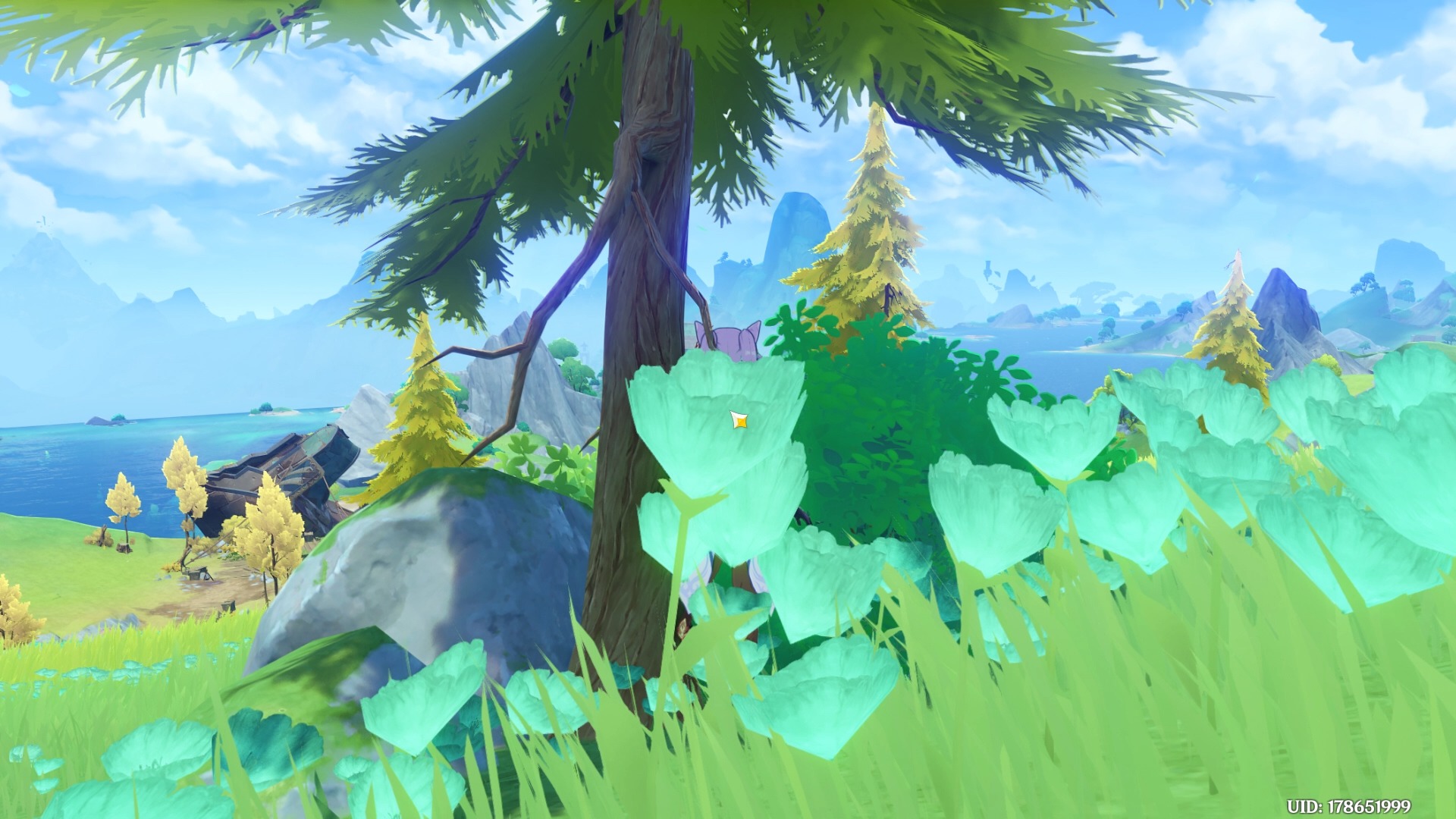 yuanshen Object Detection Dataset by Haibara