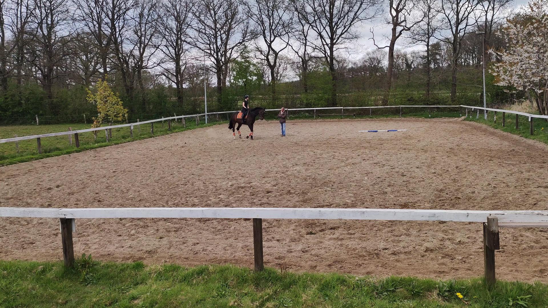 HorseTracking Object Detection Dataset by TestHorse