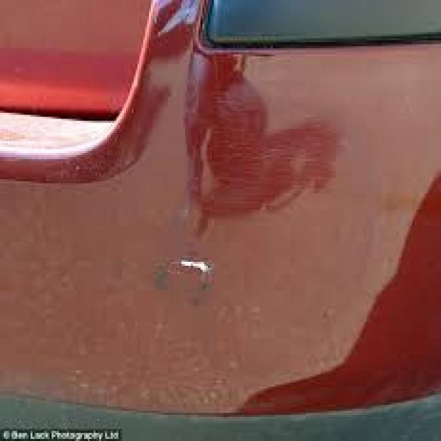 handpicked2 Instance Segmentation Dataset by car damage