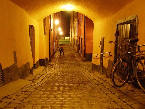 ExDark Dataset(Custom Image) Classification Model by Universitas Widya ...