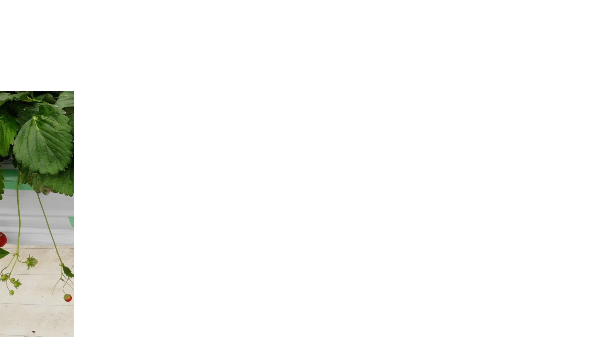 st Object Detection Dataset and Pre-Trained Model by goo