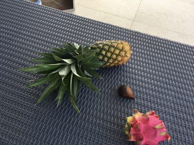 Format Fruit Object Detection Dataset by convert xml to csv