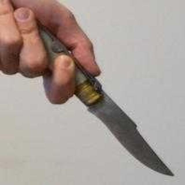 Knife Object Detection Dataset by Yoonseokim