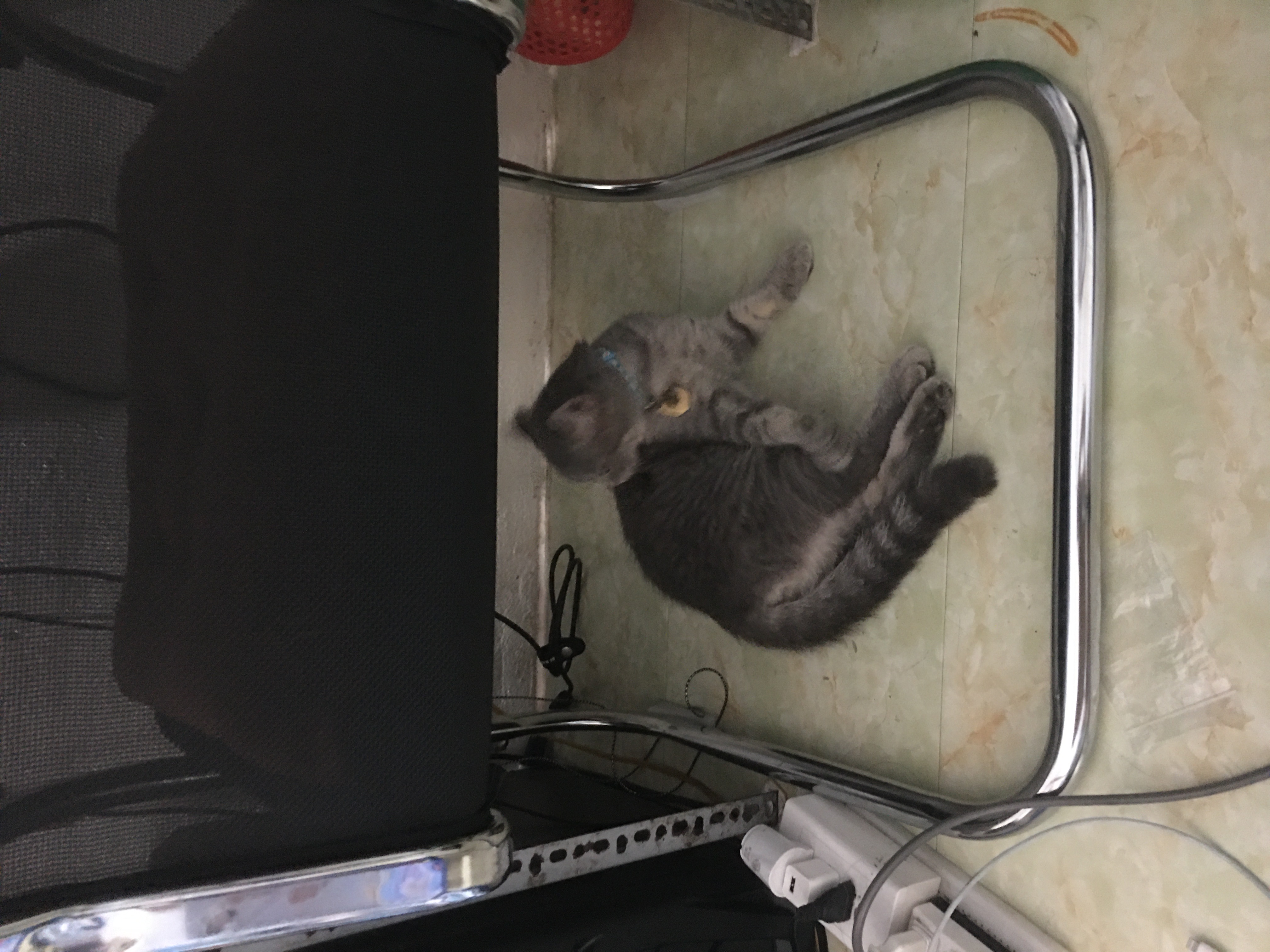 New Object Detection Object Detection Model by Sai Gon University