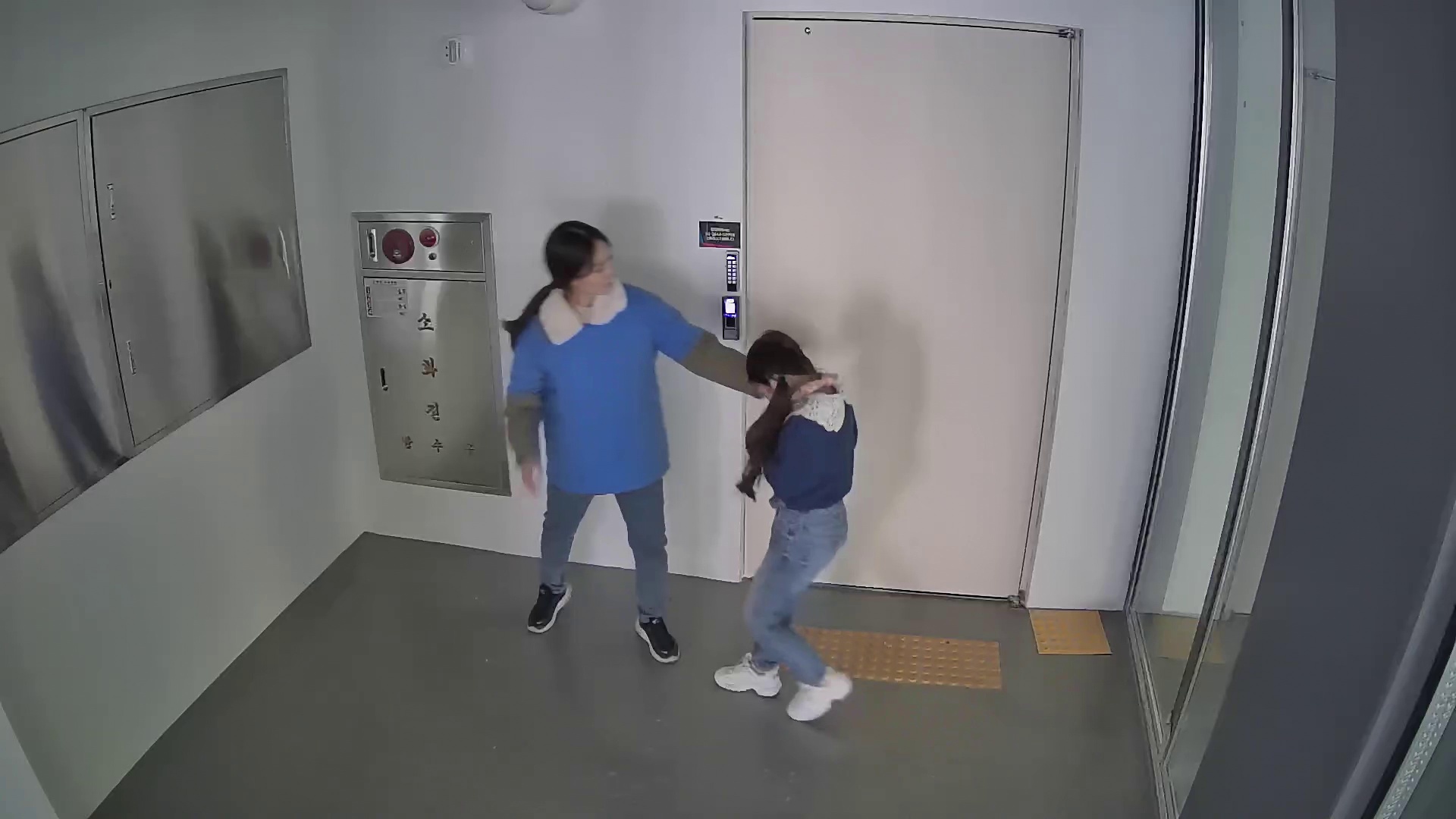 CCTV_HIT Object Detection Dataset by harry project