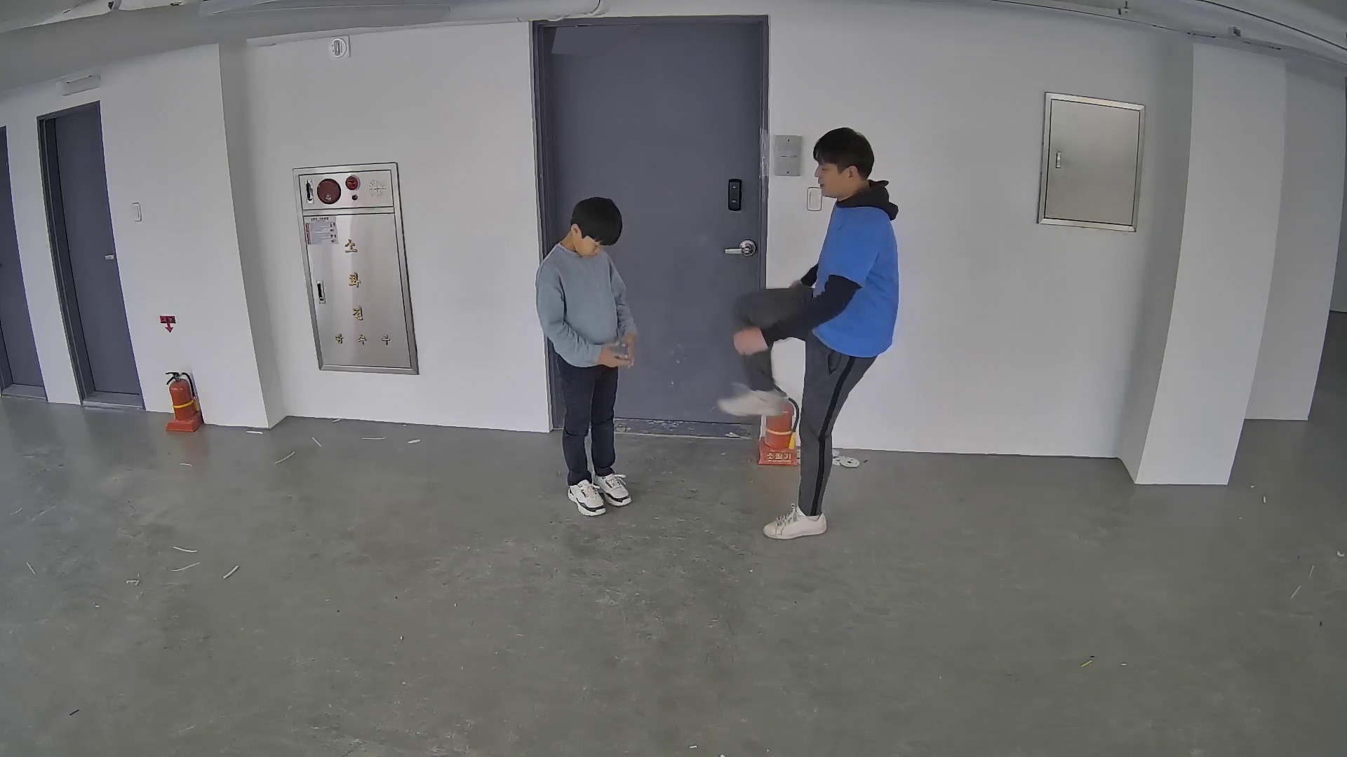 harry project - Roboflow Universe