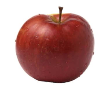 Deep Learning Project 1 Object Detection Dataset and Pre-Trained Model by Machine Learning Project 1