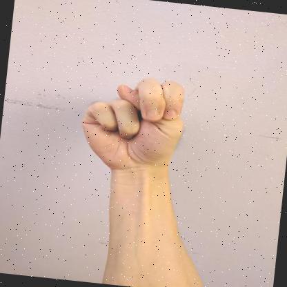 ASL Poly Instance Seg Instance Segmentation Model by Paul Guerrie