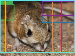 rat Object Detection Dataset by workSpace20