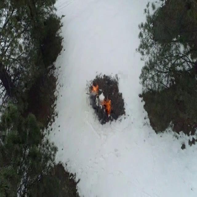 How to Use the aerial fire detection Object Detection API