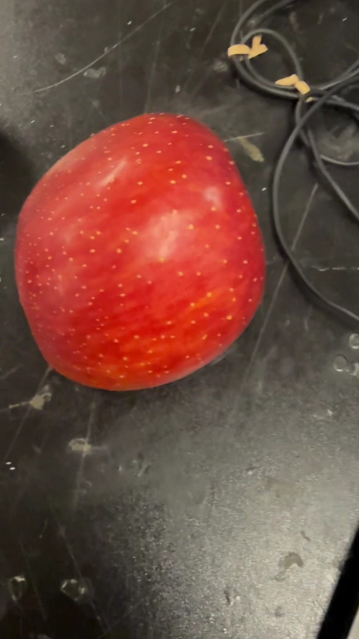 apple_grading_C_group Object Detection Dataset and Pre-Trained Model by applegrading