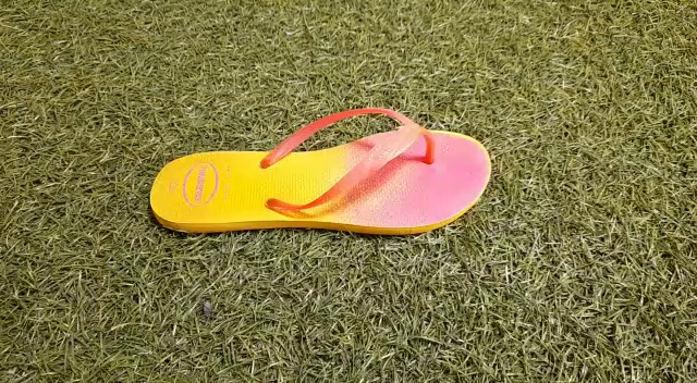 flip flop Object Detection Dataset by Daniella Camargo